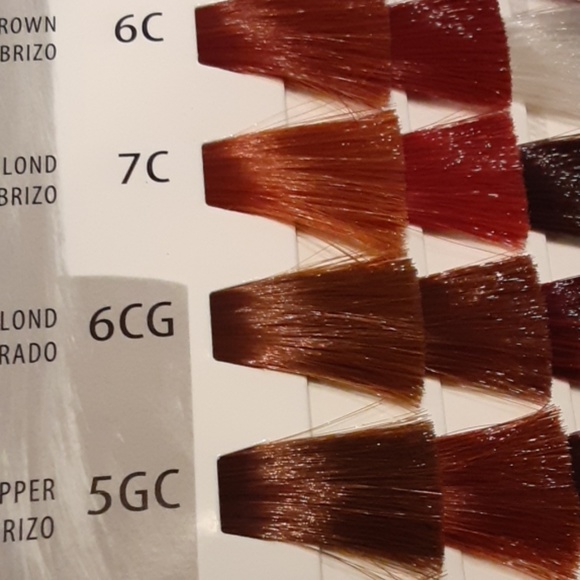 Enjoy | Other | Buyget16cg Dark Copper Golden Blond Cream Color | Poshmark